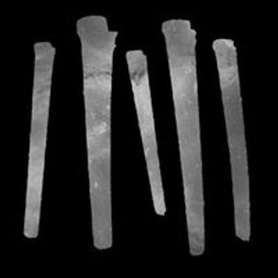 Discover Anatomy of Habit Events | Tickets & Details | AllEvents