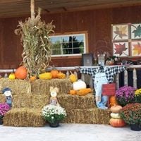 Jamesport, Missouri - Festivals Events