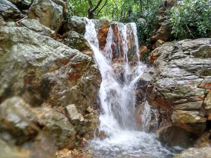 Trek to Kambakkam Peak (Tada Falls) at IROC Adventures, Tada