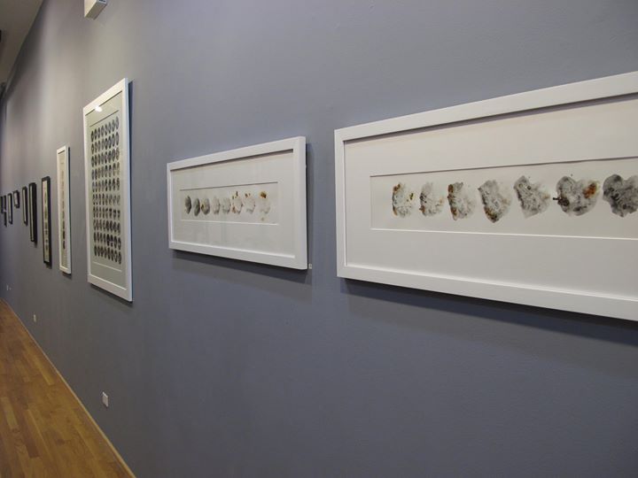 Museum/Art Gallery in Chicago | Top Museum/Art Gallery