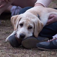 473 Johannesburg Workshops | Seminars, Training Classes Events, Things ...