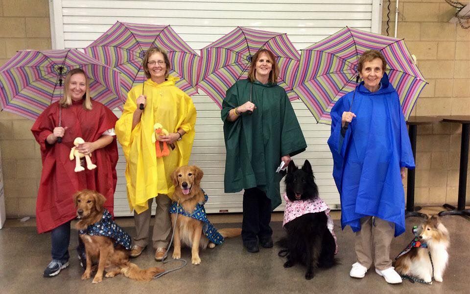 DMOTC Spring Agility Trial, Jester Park Equestrian Center, Granger, May ...