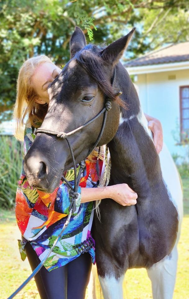 EFTR MODULE 2, Noordhoek, CAPE TOWN, SA, Gilvarry Equine Rehab, Cape ...