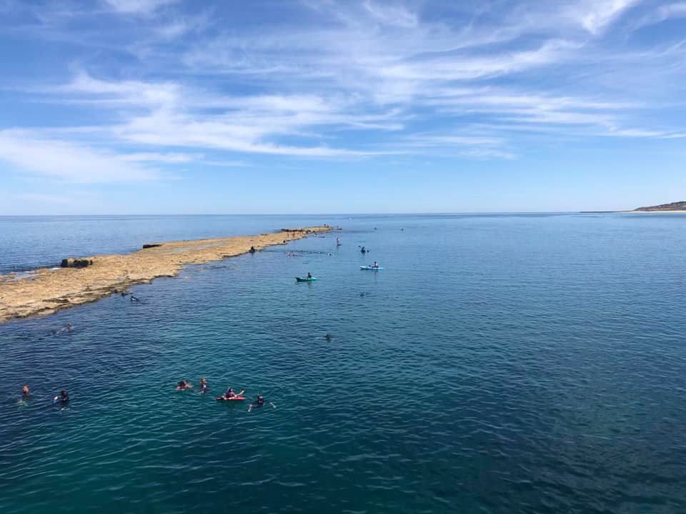 Explore Port Noarlunga Jetty and Reef Sanctuary - Sunday 3rd March ...