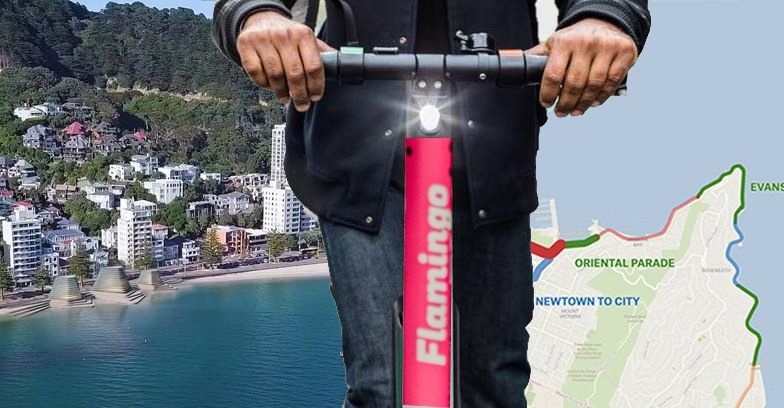 Flamingo Scooter Race around the bays, Shed 6, Paekakariki , December ...