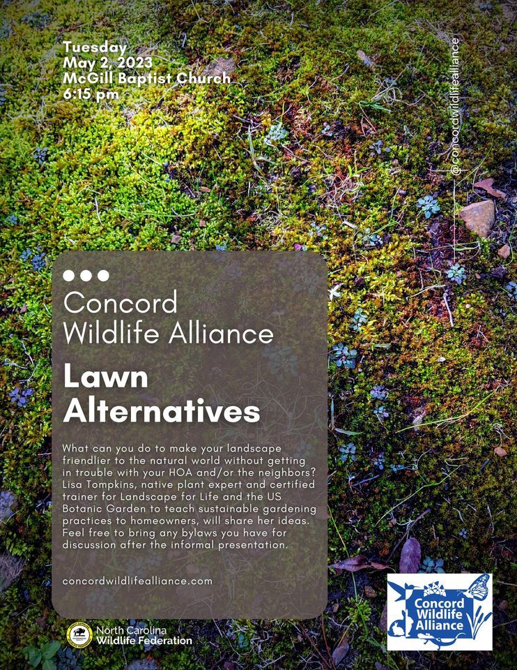 Lawn Alternatives with Lisa Tompkins, McGill Baptist Church, Concord ...