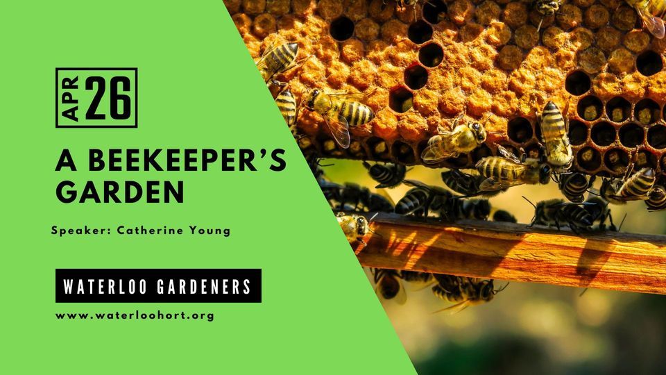 A Beekeepers Garden with Catherine Young, Albert Mccormick Arena ...