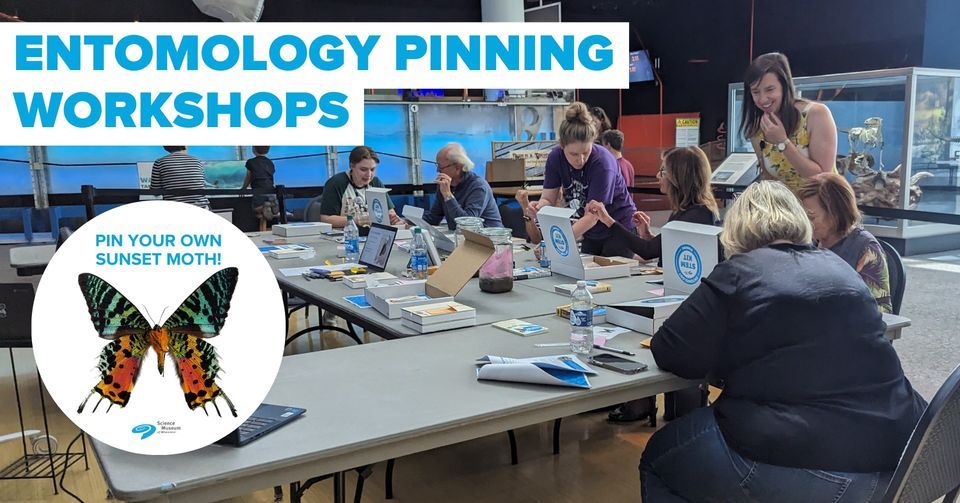 Entomology Pinning Workshop, Science Museum of Minnesota, Saint Paul, 9 ...