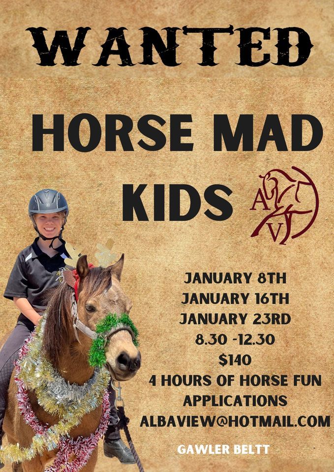 Horse & Pony Fun , Alba View Equestrian, Gawler, January 8 2024 ...