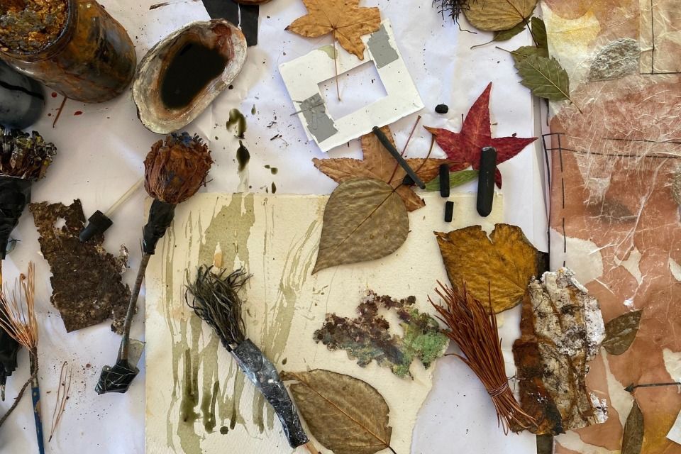 Simmer: Drawing with Nature, Penrith Regional Gallery, Home of The ...