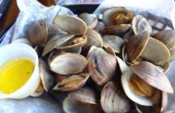 Clam Night , Raccoon Club, Northampton, 1 December 2023 | AllEvents