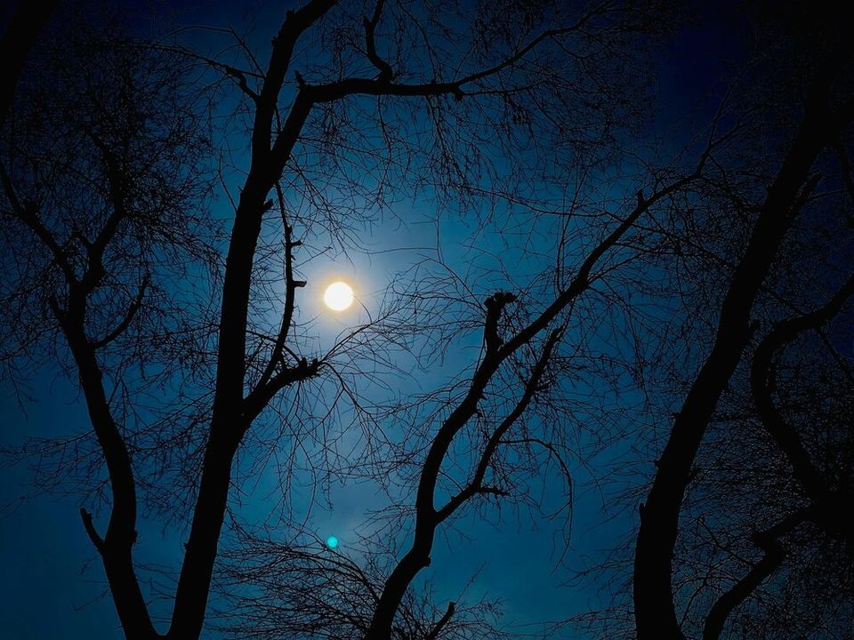 Full Moon Gathering - November Beaver Moon Yoga and Guided Meditation ...