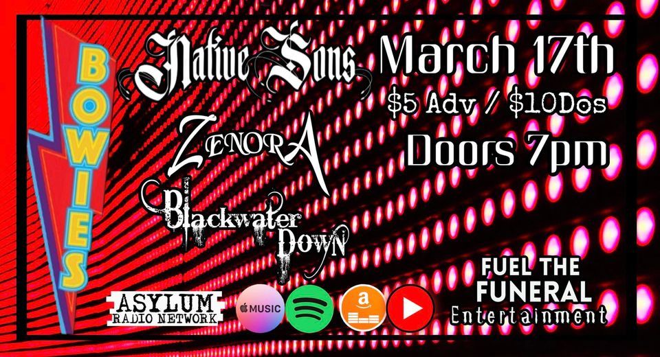 Native Sons Album Release Concert, Bowie's Nashville (Nashville, TN ...