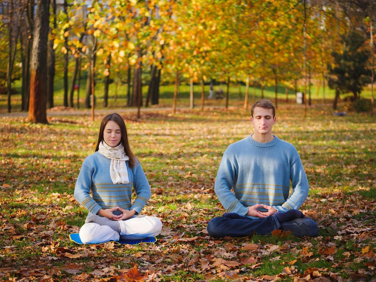 Discover Wellness with Falun Dafa, Max Webber Library, Blacktown, 31 ...