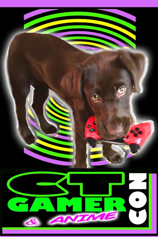 CTGAMERCON at MOHEGAN SUN - An Event for Fans of Video & Card Gaming ...