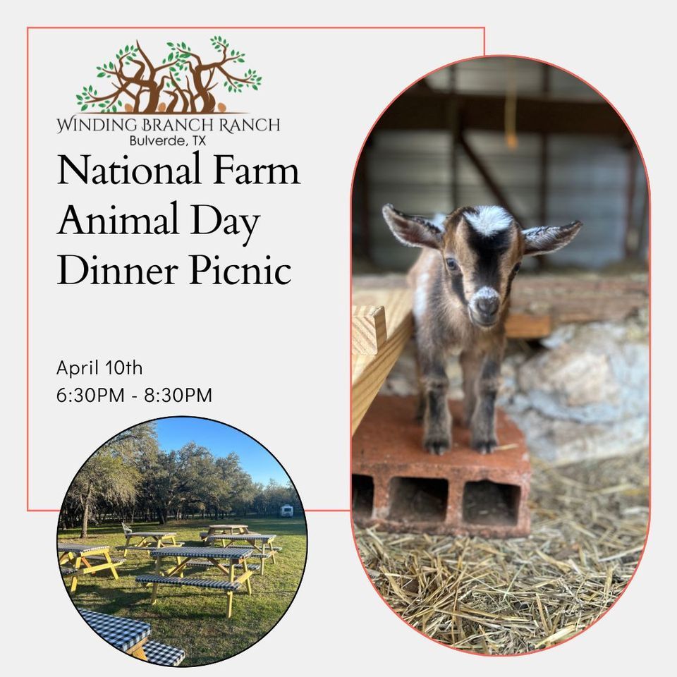 National Farm Animal Day Dinner Picnic at Winding Branch Ranch, Winding ...