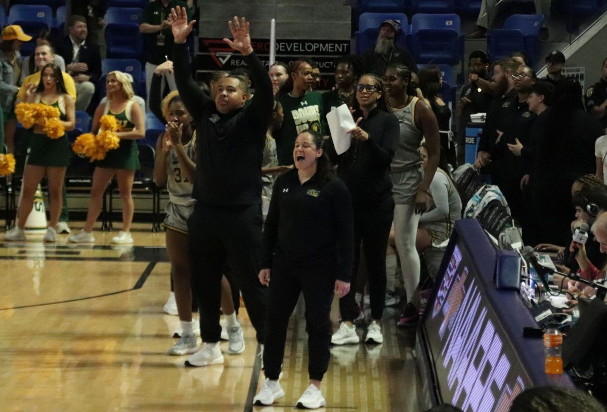 McNeese State Cowgirls at Southeastern Louisiana Lions Womens ...