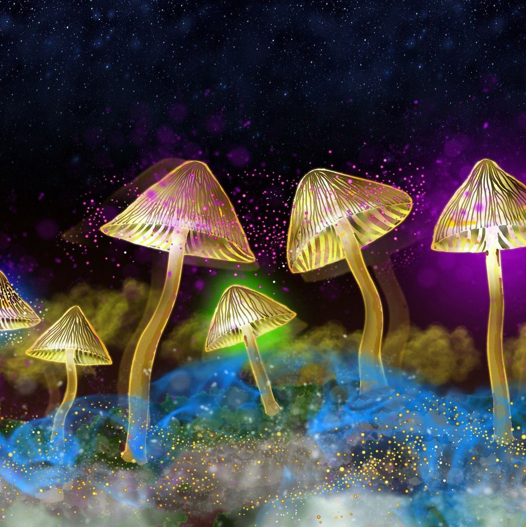 The Science of Psychedelics with Dr Chris Timmermann, Lord Ashcroft ...