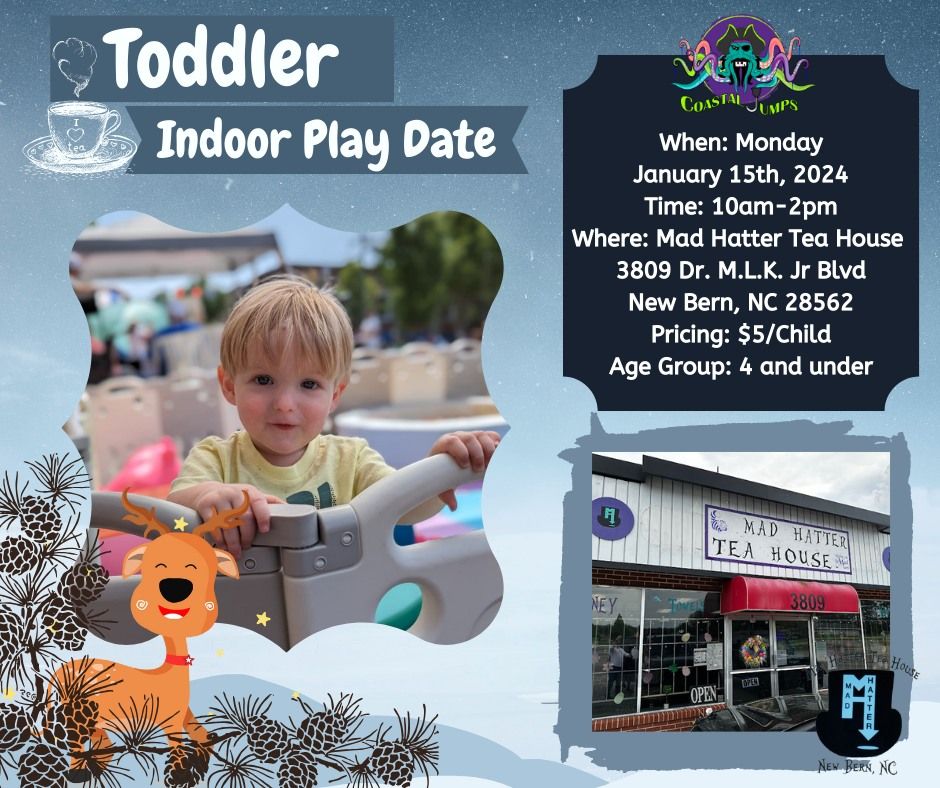 Indoor Toddler Playdate, Mad Hatter Tea House, New Bern, January 15 ...