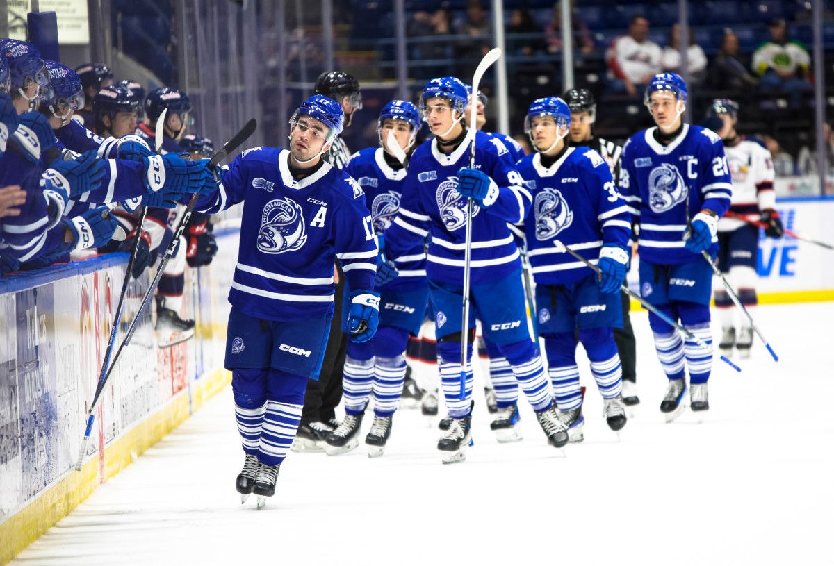 Brampton Steelheads vs. Sudbury Wolves, CAA Centre, Brampton | AllEvents.in