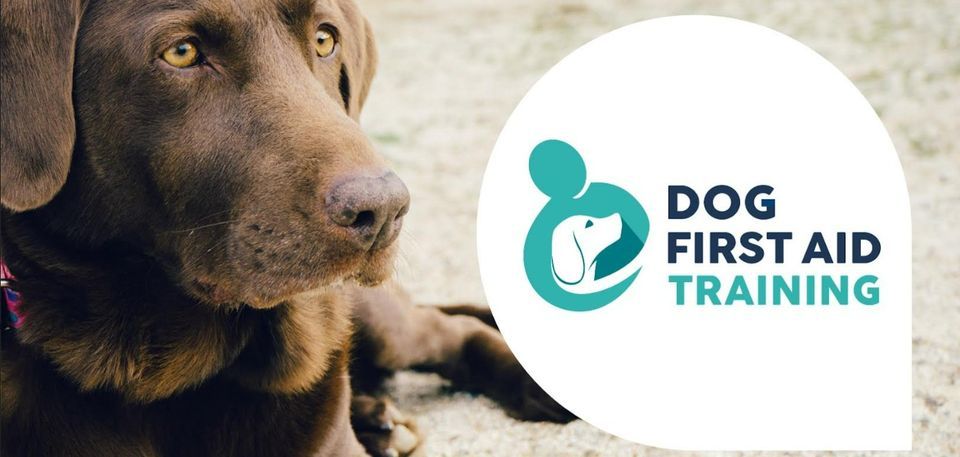 ESSINGTON DOG FIRST AID TRAINING, St John the Evangelist Church ...