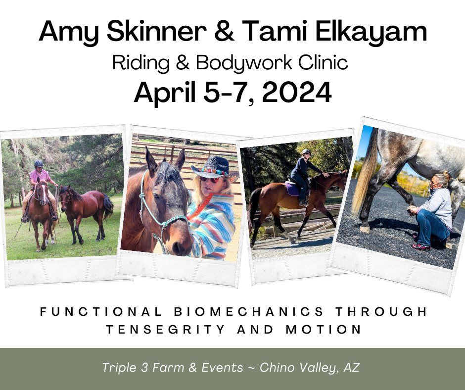 Functional Biomechanics Through Tensegrity and Motion - With Tami ...