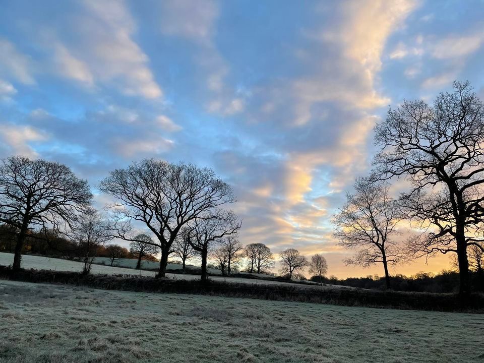 Spring, Summer and Autumn Weekend Courses , Churchstanton, Taunton ...