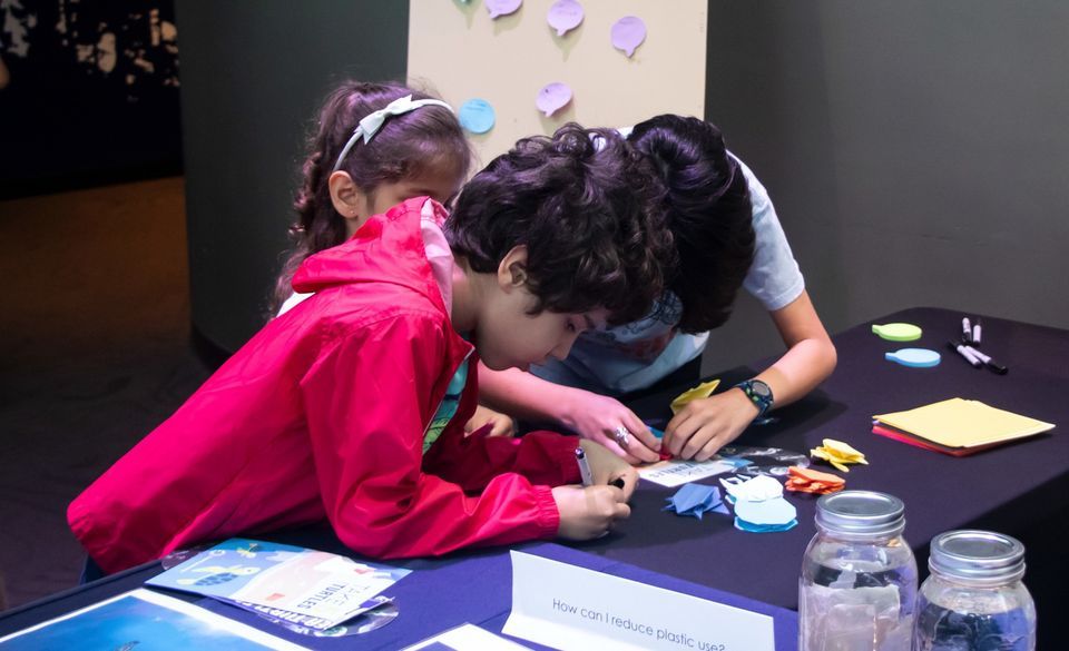 Science Surprises: Splash into Science at the Florida Museum, Florida ...