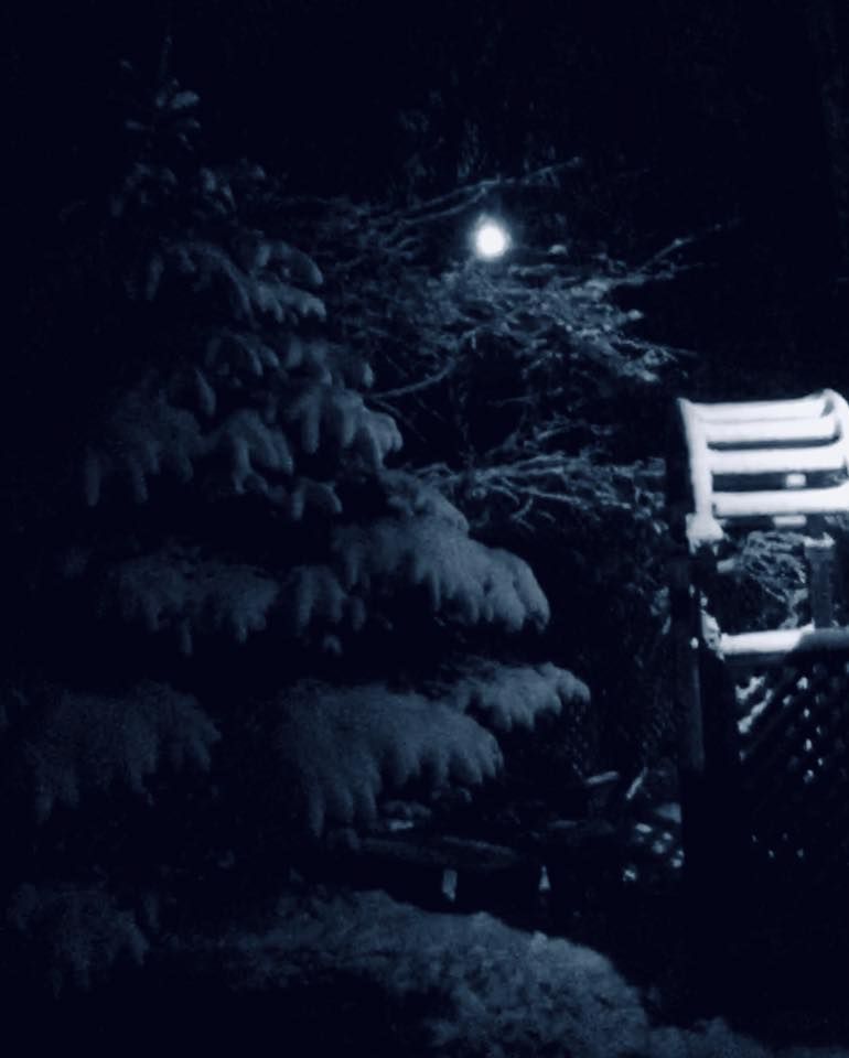 Winter Night Light @ Tweeds, Tweed's Restaurant & Buffalo Bar ...