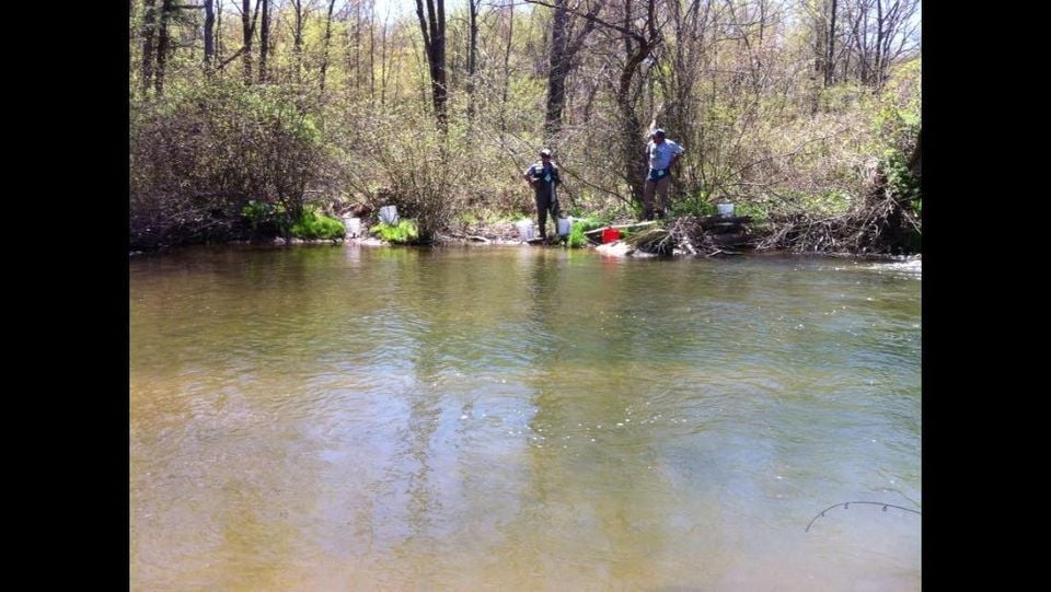 Block Shoot , Andreas Sporting Club, March 10 2024 | AllEvents.in