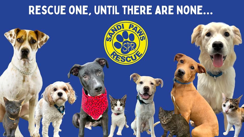 Sandi Paws Rescue Adoption!!!, Fleet Farm Fond du Lac (Fond du Lac ...