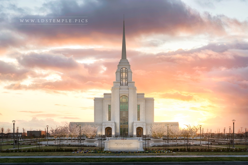 Senior Temple Day, ONLINE, 10 December 2026 | AllEvents