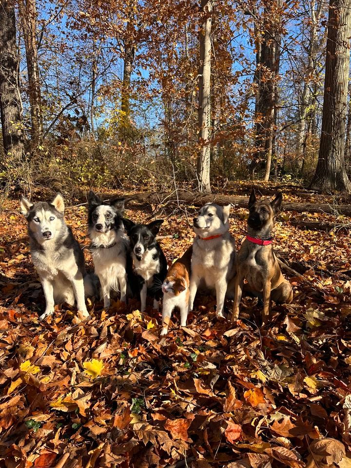 Winter Warmup Group Walk Delcastle Recreational Park Hockessin Winter Warmup Group Walk Delcastle Recreational Park Hockessin