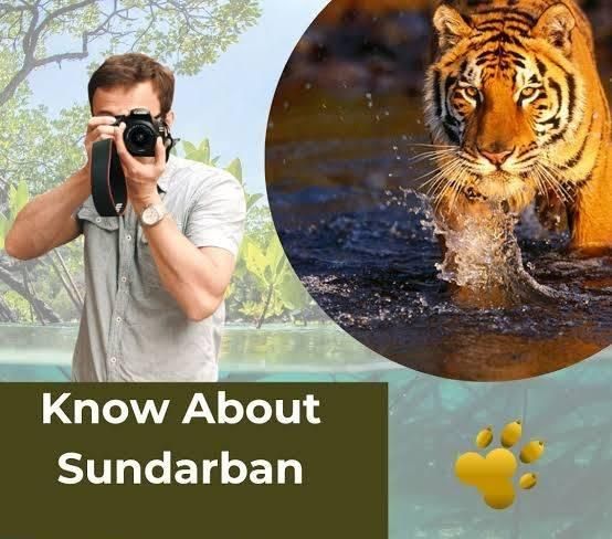 Explore Sundarban adventure With Eagle Nest Toure & Travels, Sundarbans ...