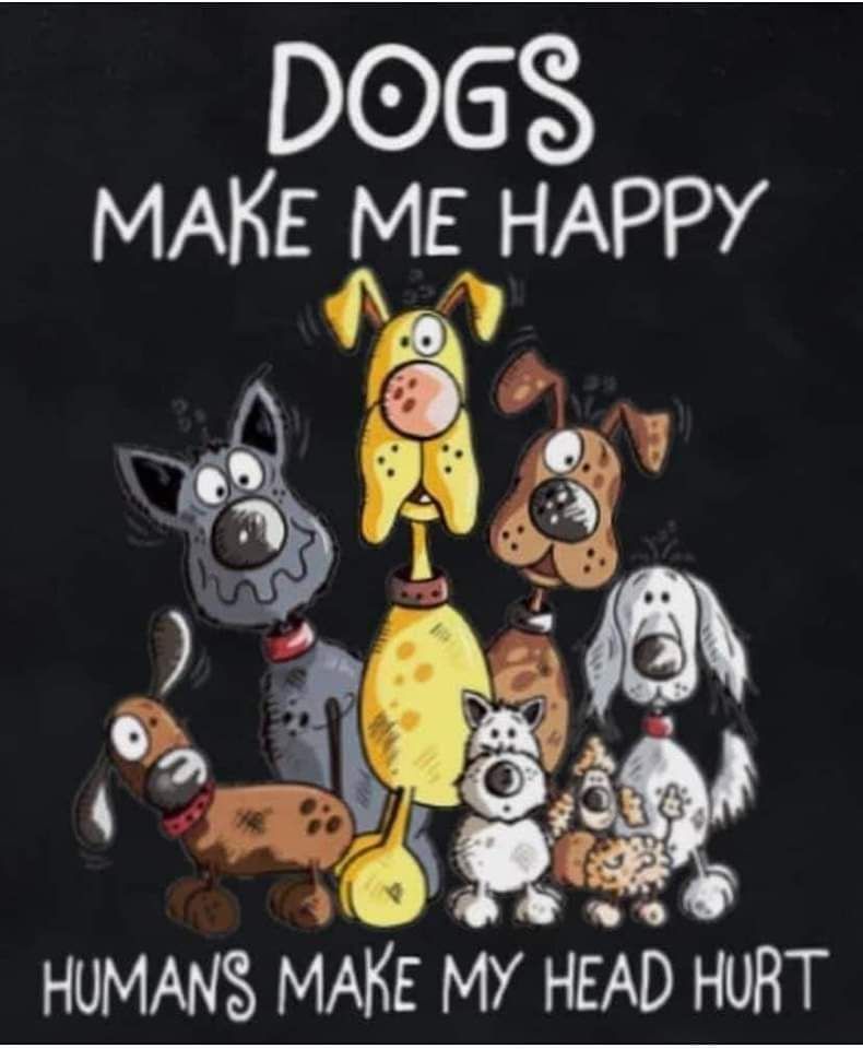 November Class Schedule, Red River Obedience Training Club, Shreveport, November 1 2023 ...