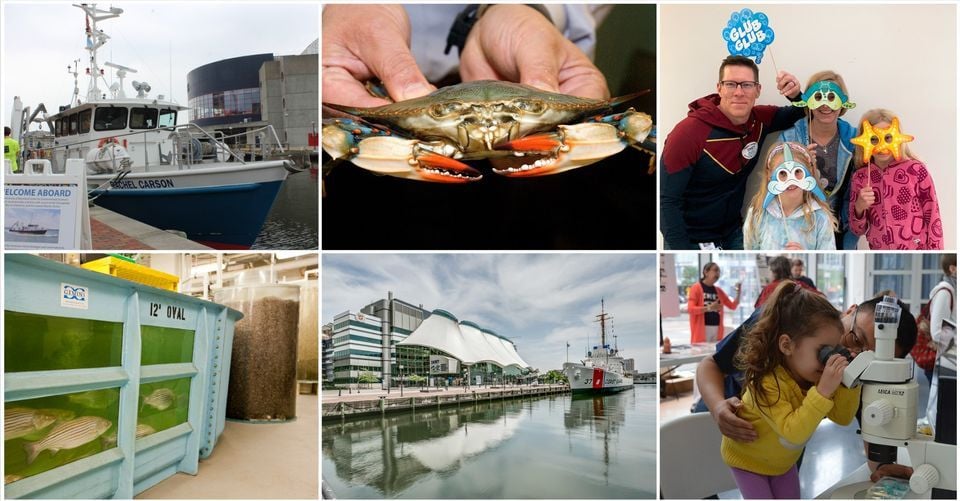 IMET Open House, 701 E Pratt St, Baltimore, MD 21202-3101, United ...