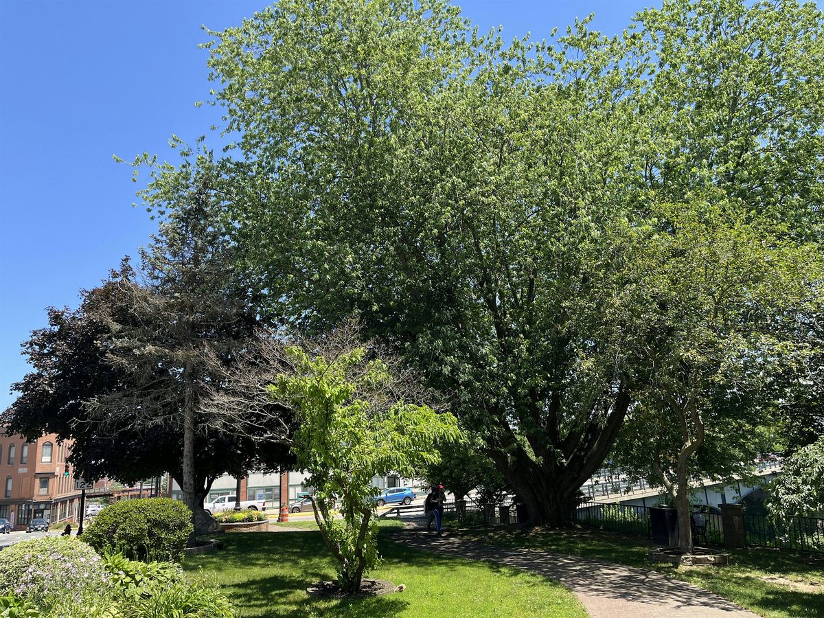 Woonsocket Tree Canopy Open House, Woonsocket Education Center, 4 March ...