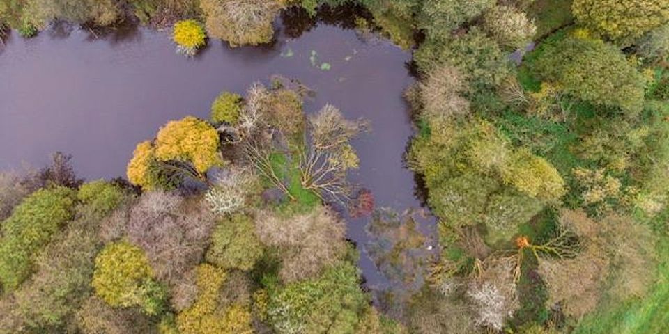 The Wild Argaty Tour, Argaty Red Kites, Dunblane, 24 February 2024 ...