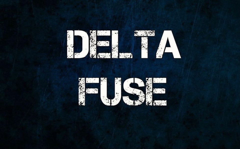 Delta Fuse live at The Flying Circus, The Flying Circus, Burton Joyce ...