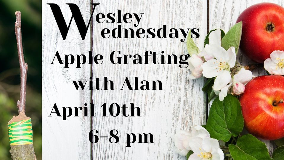 WW: Apple Grafting with Alan , Wesley Foundation at Radford University ...