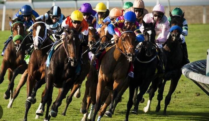 Saturday race day open from 11am, Thirsk & Sowerby Institute, Richmond ...