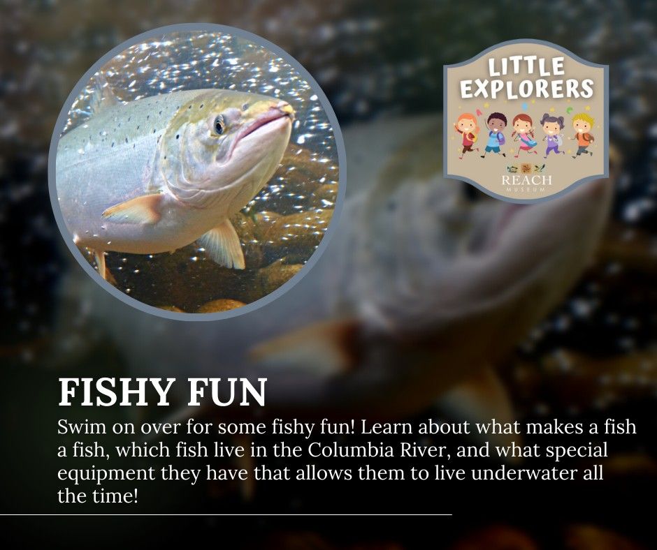 Little Explorers: Fishy Fun, REACH Museum, Richland, July 13 2023 ...