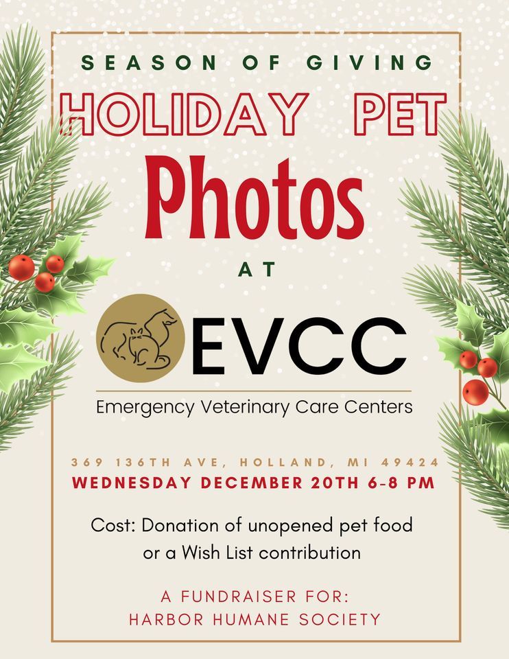 Holiday Pet Photos with EVCC-Holland, EVCC-Holland, 20 December 2023 ...