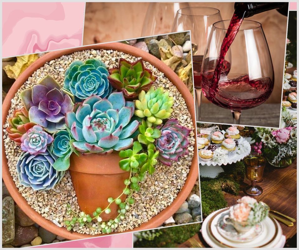 Sip & Succulent Mothers Day Workshop, Pixie Moss Meadows, Corning, 13 May 2023 | AllEvents.in
