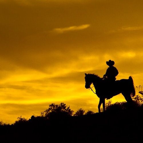 Wild Wild West Sunset Horseback Ride + Dinner, Moapa Private Ranch ...