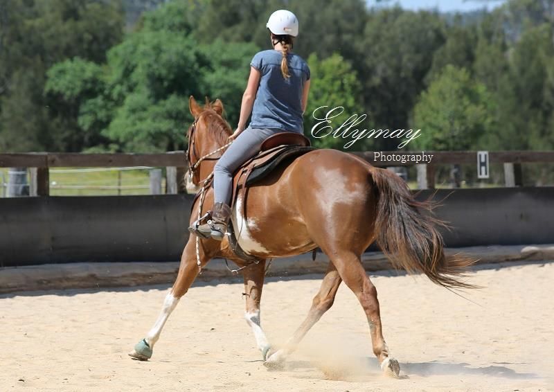 Belford Equine Park Adult Fun Day - 15yrs + - Fun Days are back ...