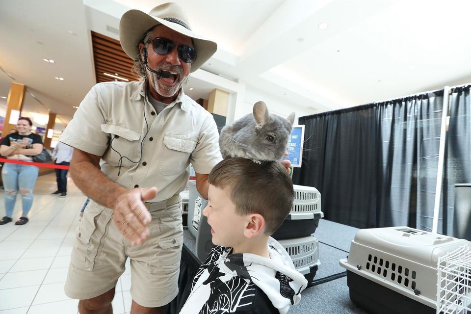 Jungle Terry Animal Show, Great Northern Mall, Berea, November 4 2023 ...