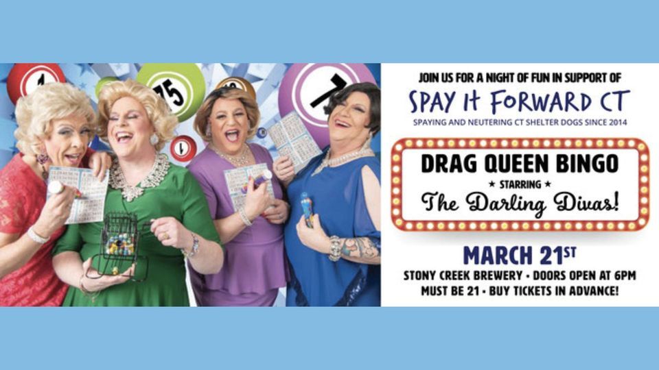 Drag Queen Bingo Starring The Darling Divas, Stony Creek Beer, Branford ...