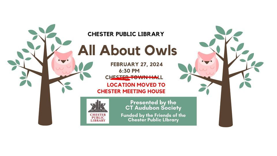 All About Owls, Chester Town Meeting House, 27 February 2024 | AllEvents