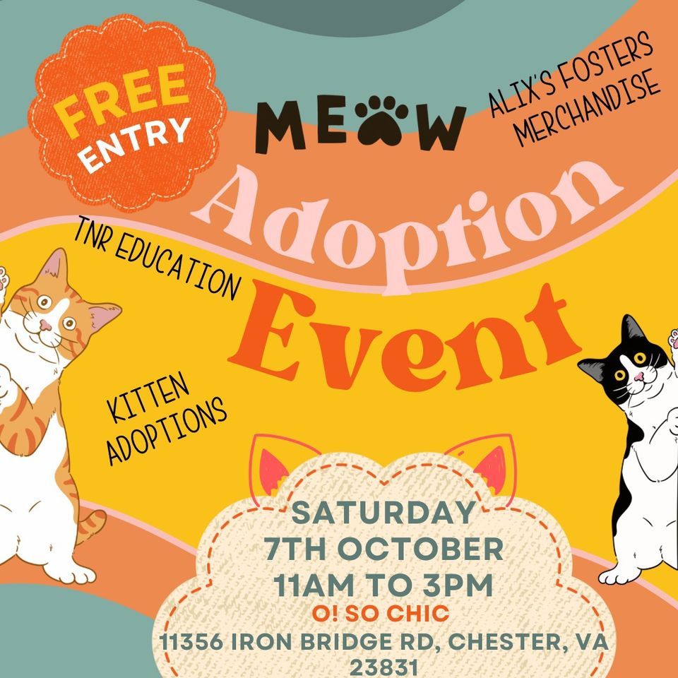 Fall Festival - Adoption Event, O! So Chic, Chester, 7 October 2023 ...